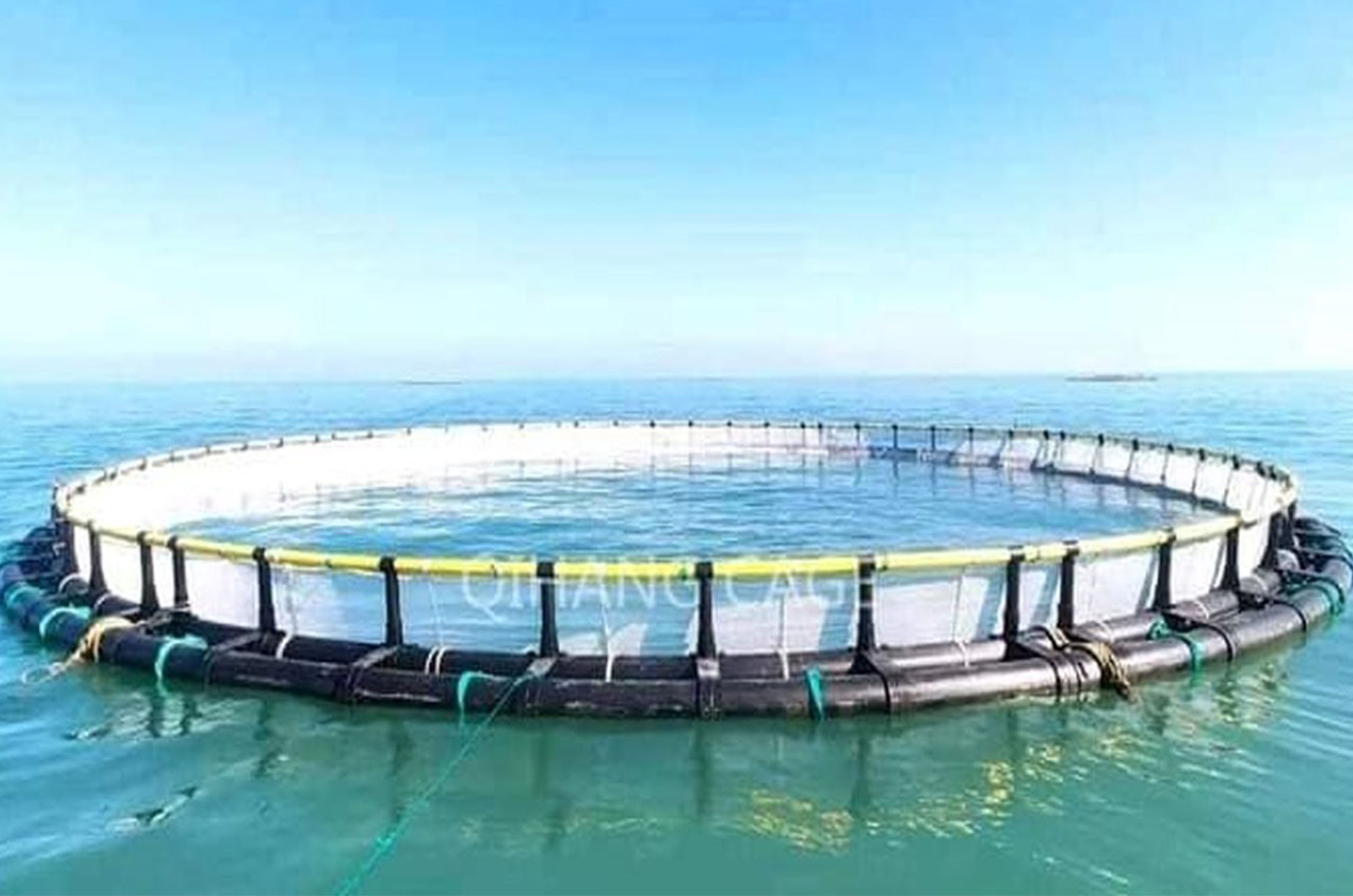 Our Products Rio Fish Our Products Rio Fish